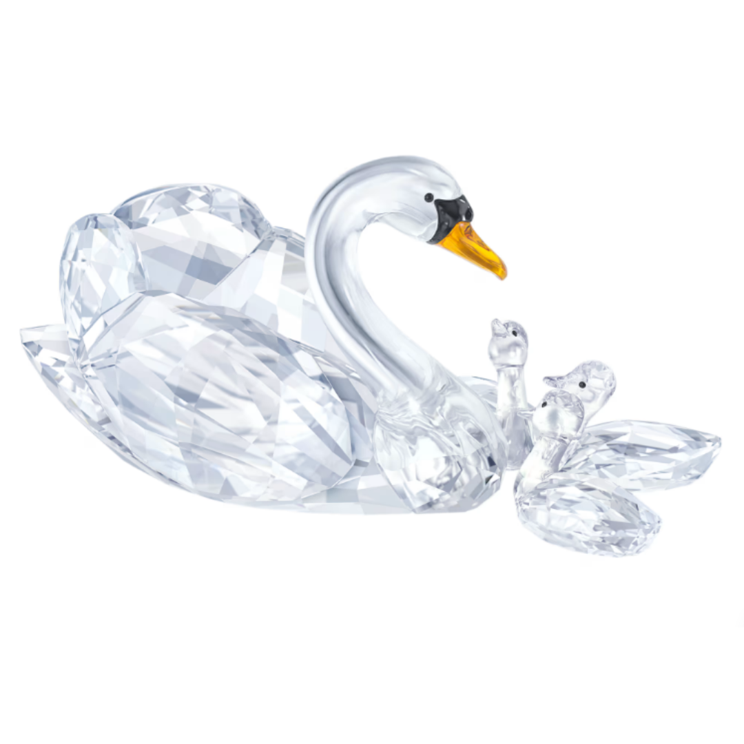 5233542 Swarovski SCS - Swans 2017 Jubilee Edition | HOFFMAN'S Limited ...