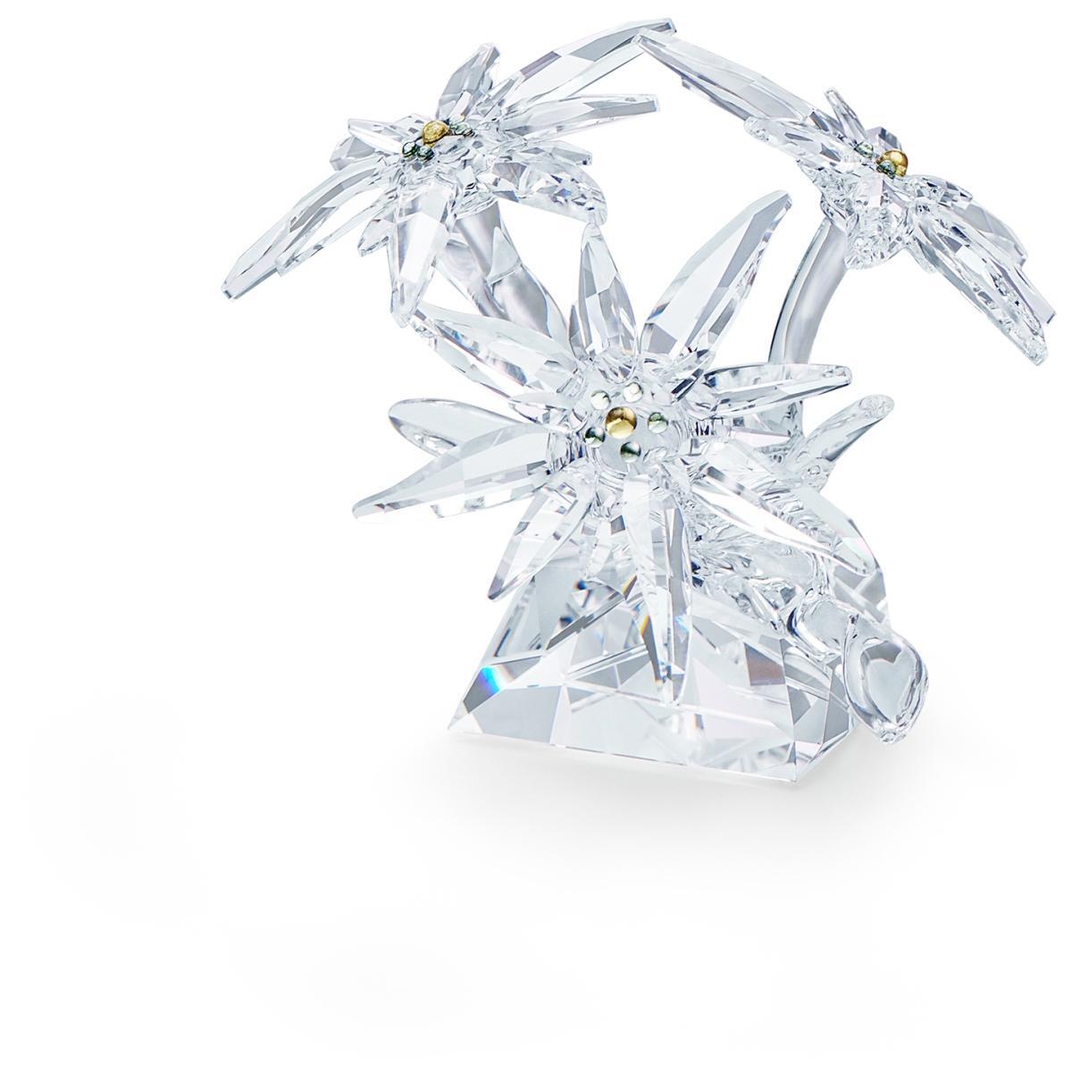 5493708 Swarovski SCS 2020 Edelweiss Exclusive Crystal | HOFFMAN'S ...